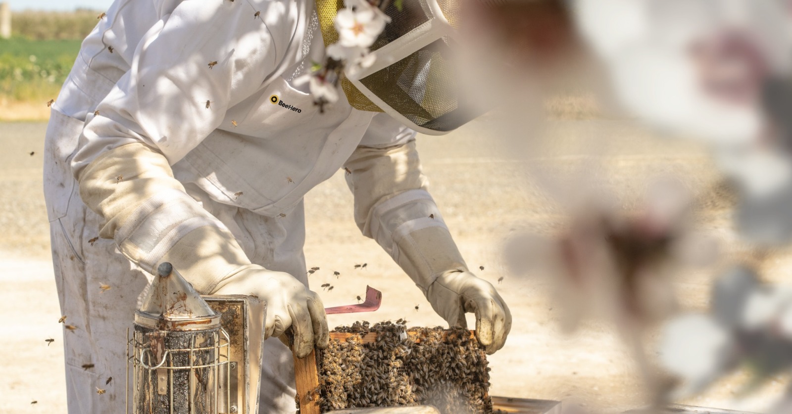 Israeli Cleantech Startups BeeHero And Copprint Named On Global ...